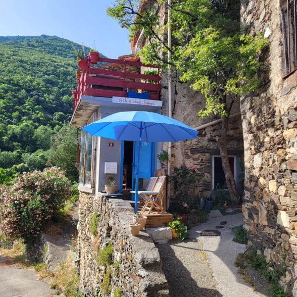 Gîtes Chez Daniel "Appartement Cevennes" - Gard