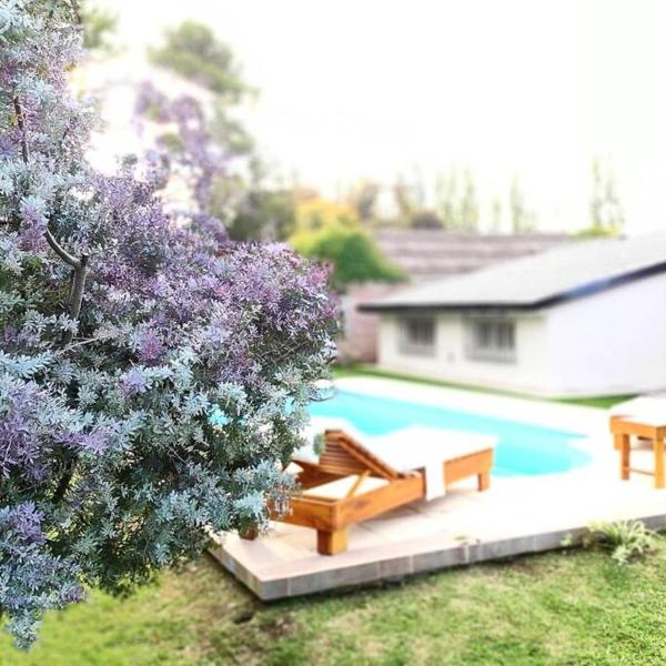 Casa Completa En El Corazón De Chacras - Mendoza
