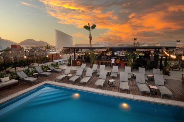 Mayan Monkey Los Cabos - Social Hotel - Baja California Sur