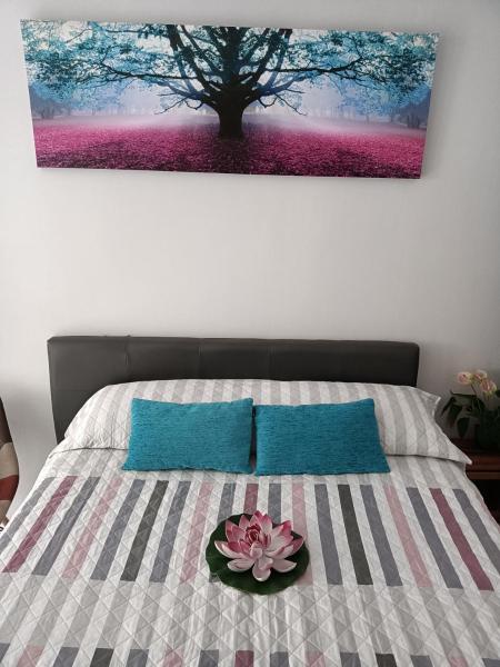 Estudio Emma - Torrevieja