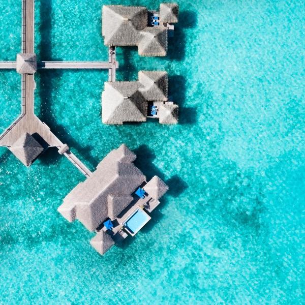 The St. Regis Bora Bora Resort - Bora-Bora