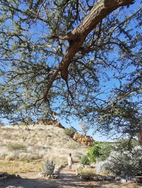 Achab Camping Camp Site - Namibie