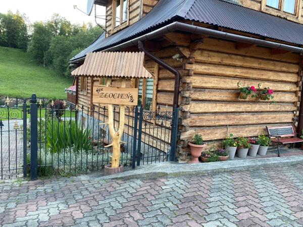 Złocień - Zakopane