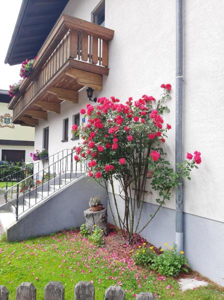 Ferienwohnung Valentin - Grossarl