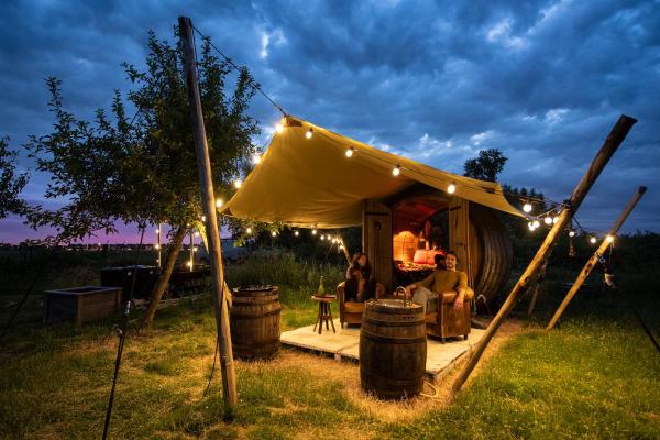 Tiny Wineyhouse No 1 - Tiel