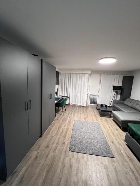 Business Apartment Karlsruhe - Karlsruhe