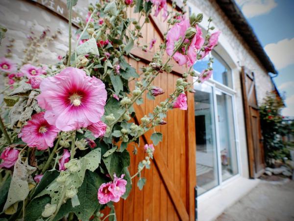 Gîte Grande Capacité En Touraine - Sainte-Maure-de-Touraine