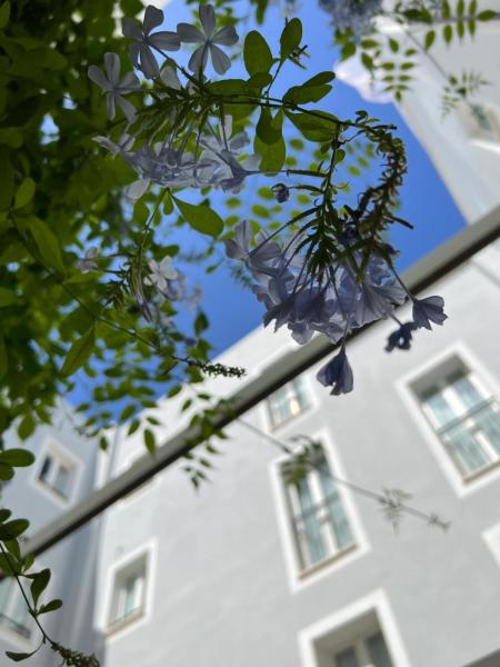 Hotel San Miguel Menorca - Mahón