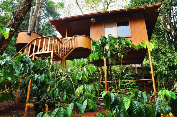 Planet Green Plantation Resorts, Wayanad, Kerala - Kerala
