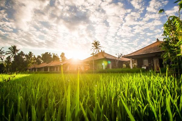 Sri Lestari Banyuatis - Bali