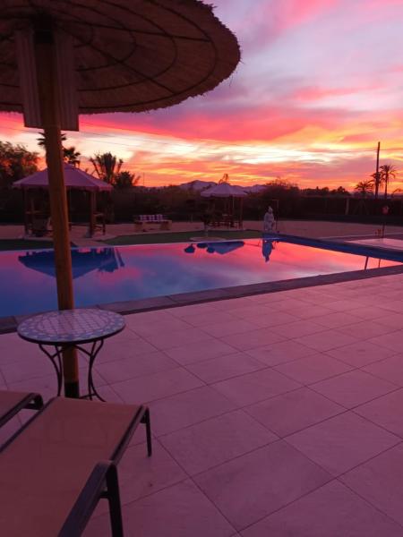 Casadelfenix - Elche