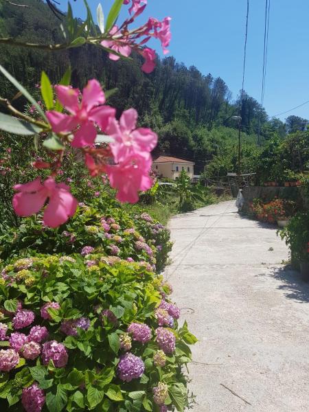 Casa Nonna Anna - Côte Amalfitaine