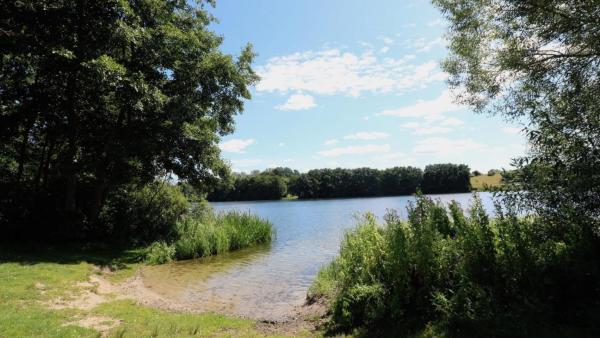 Zentrumsnahes Wohnen In Der Alten Schule Am See - Schwerin