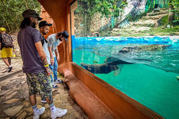 Hotel Boutique Refugio Llanero Centro Histórico - Meta