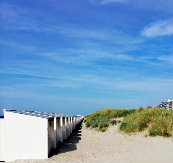 Crèmebol - Nieuwpoort