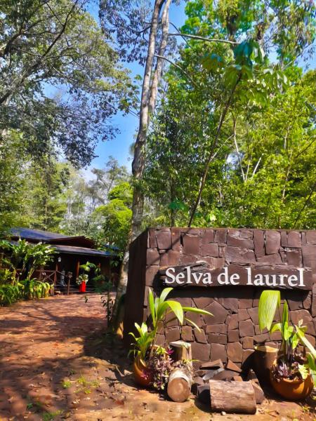 Selva De Laurel