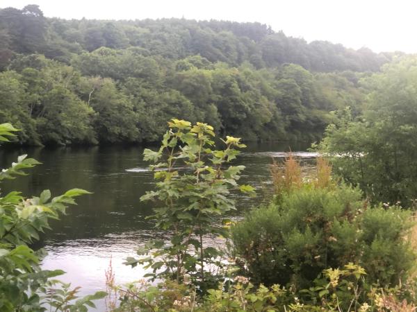 River Ness View - Inverness