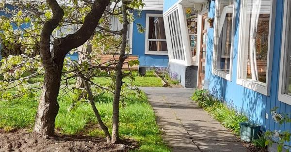 Hostal Los Pinos - Puerto Natales