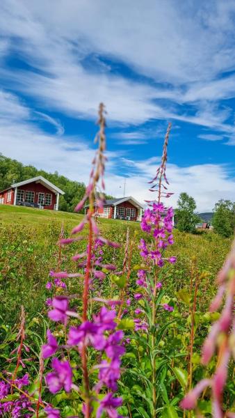 Levajok Lodge - Lappföld