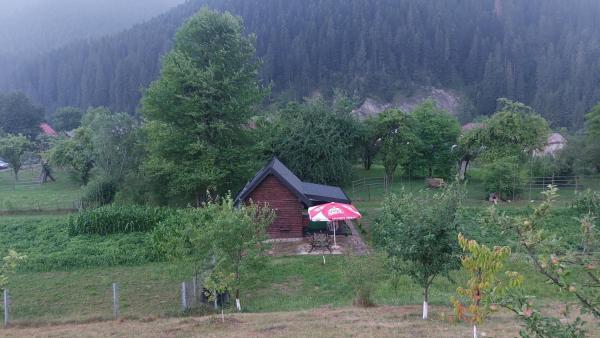 Tiny House Casa Axa - Borca