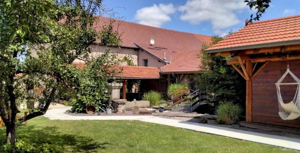 Hagebuche - Saverne