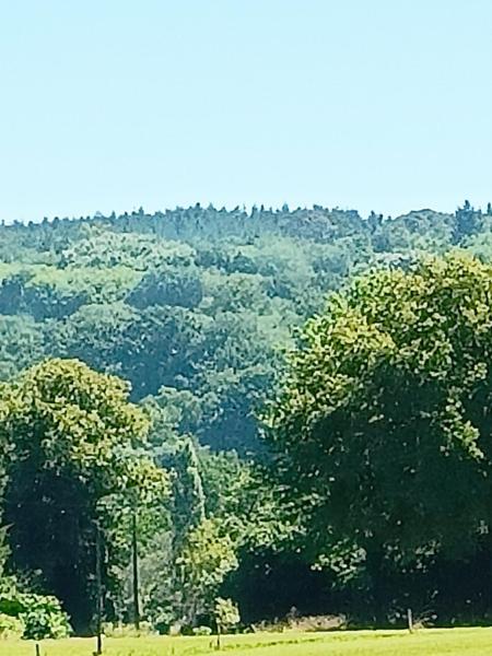 Chambre D'hôtes Indépendante à La Campagne - Haute-Vienne