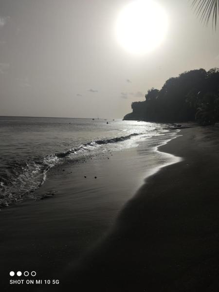 Studio Pieds Dans L Eau A Schoelcher - Martinica