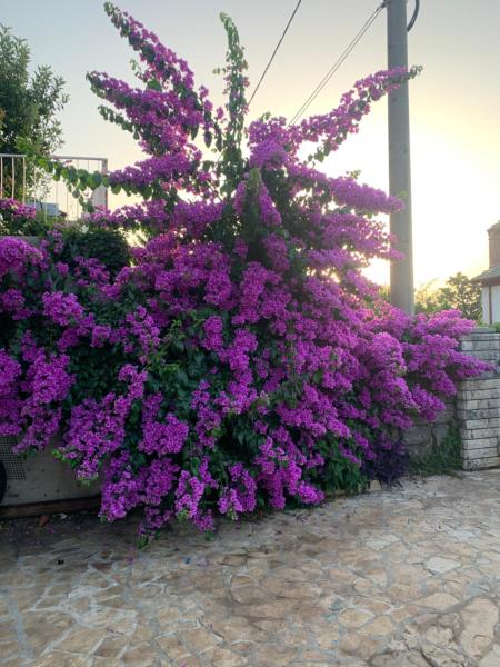 Apartman Rio - Lovran