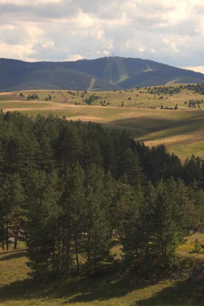 Mila Bregovi - Prostrani Dupleks - Zlatibor