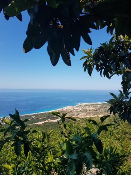 Vila Jona Palasë - Dhërmi