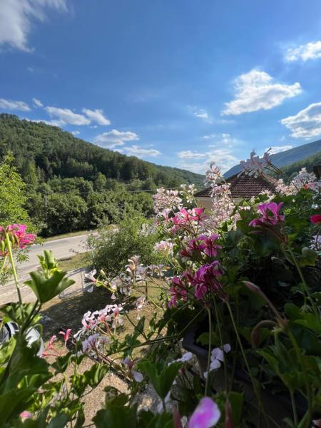 Mokra Gora Central Apartments - Mokra Gora