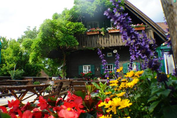 Weingut Buschenschank Schneiderannerl - Austria