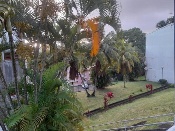Escale Au Jardin Des Plantes - Martinique