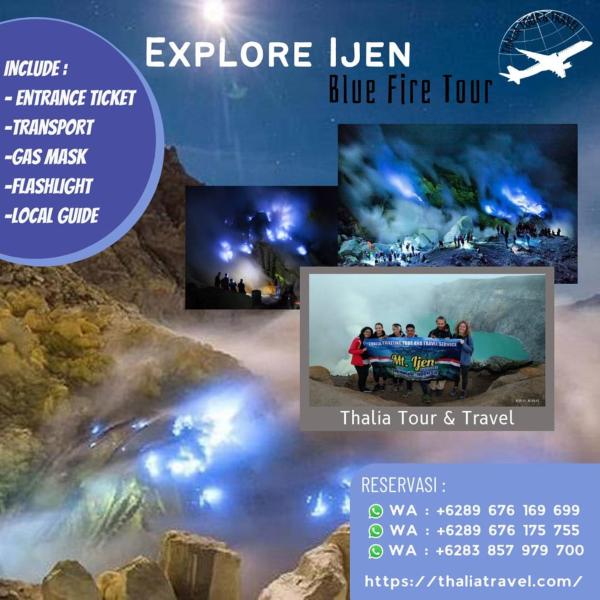 Thalia Homestay & Ijen Bromo Tour - Banyuwangi