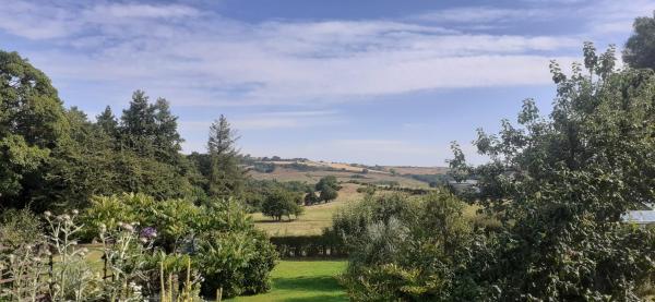 Meadowsweet @ Laneside - Goathland