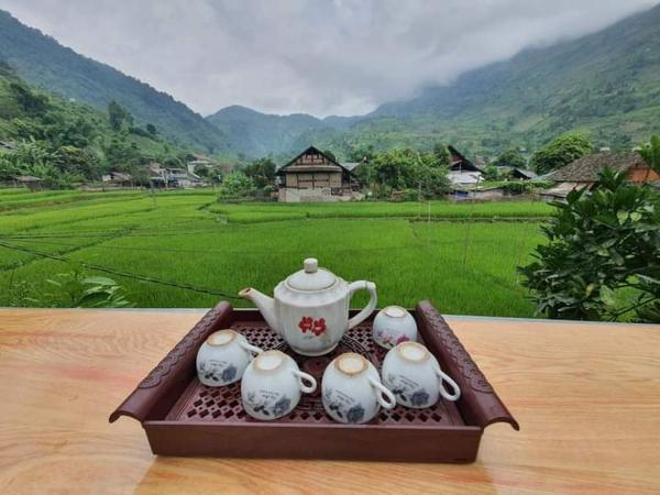 Organic Farm Homestay - Vietnam