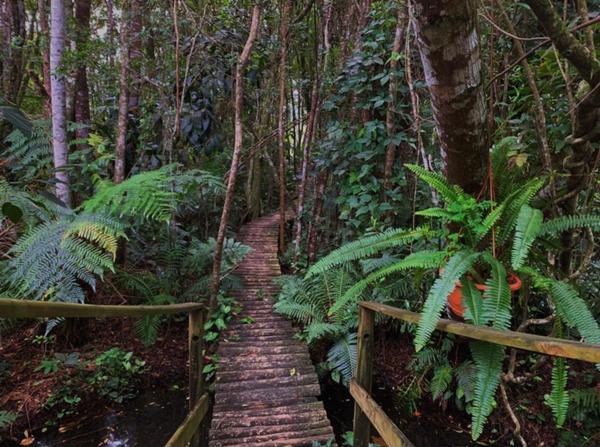 Casa Do Sapê - Praia Do Rosa - Imbituba