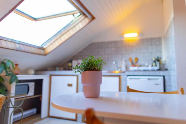 Studio Cocon Sous Les Toits De Jaurès - Belfort