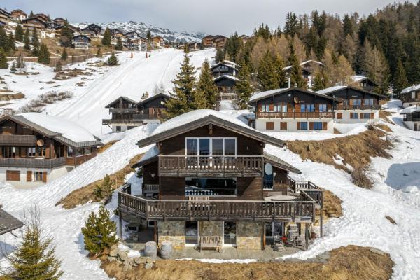 Rupicapra - Riederalp