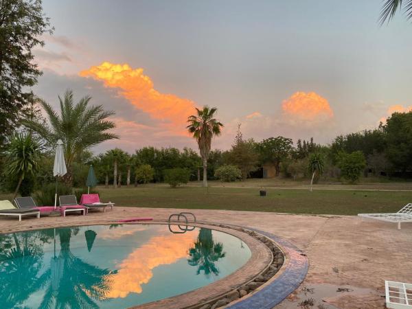 La Vie En Rose - Horses & Dogs House - Maroc