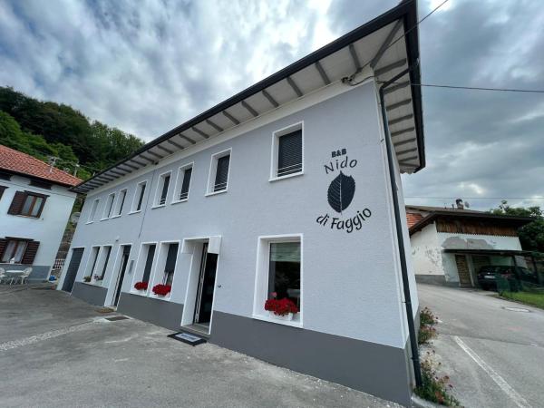 Nido Di Faggio - Belluno