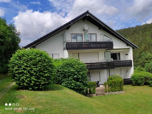 Ferienwohnungen Lang - Willingen (Upland)