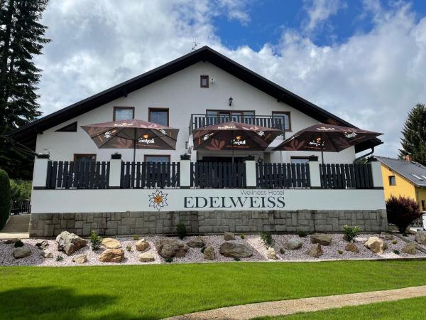 Wellness Hotel Edelweiss - Czechia