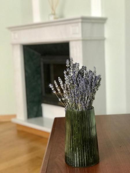 Family Apartment Near The University - Chernivtsi