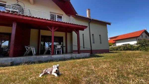 Casa Vio - Rumänien