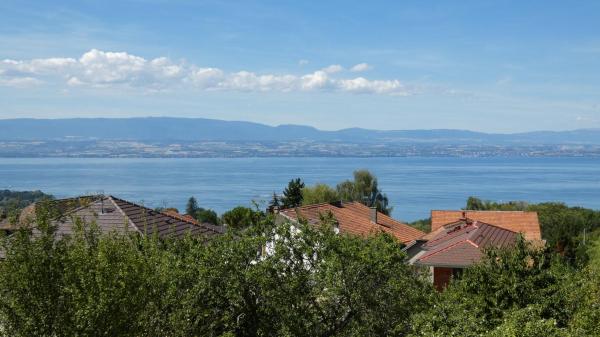 Au Coucher Du Lac - Lake Geneva
