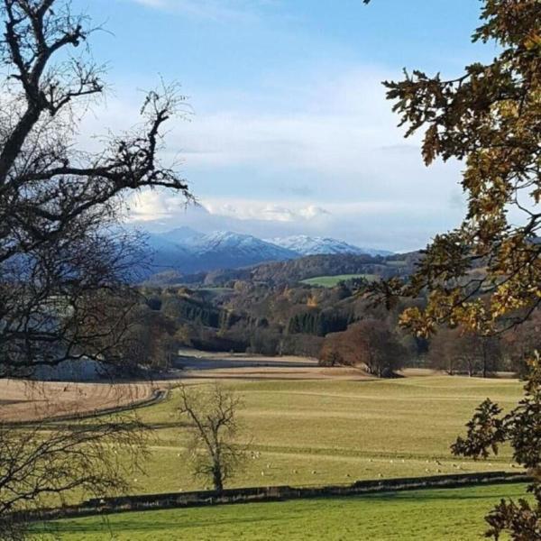 Birch Lodge, Pitlandie - Luxury 2 Bedroom Lodge With Sauna - Perth