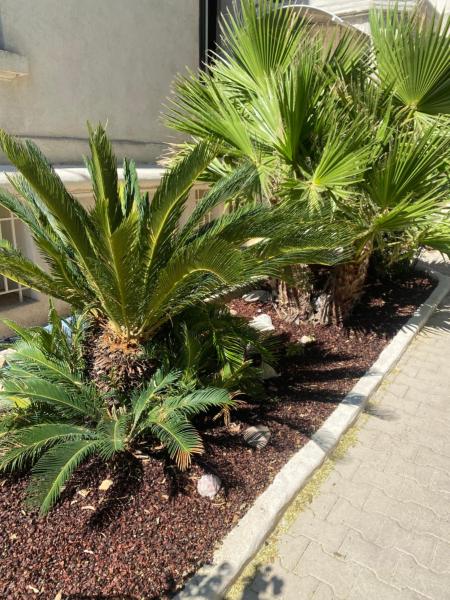 Casa Cacao Près Plage Et Vélodrome - Les Pennes-Mirabeau