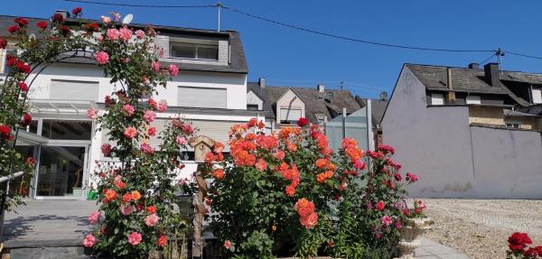 Silvia Hüls - Kröv