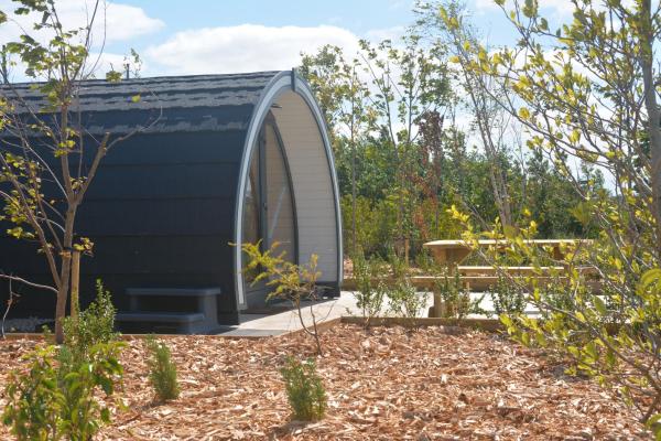 Arbor Hills - Carrickfergus